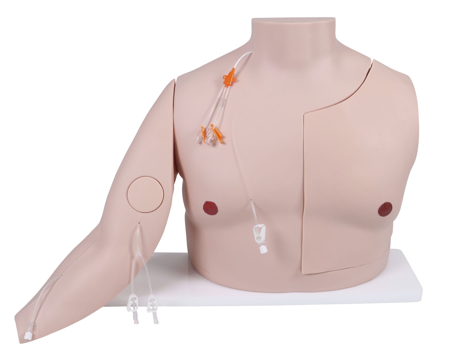 Vascular access simulator - 7650 - Erler-Zimmer - CVC / training / for ...