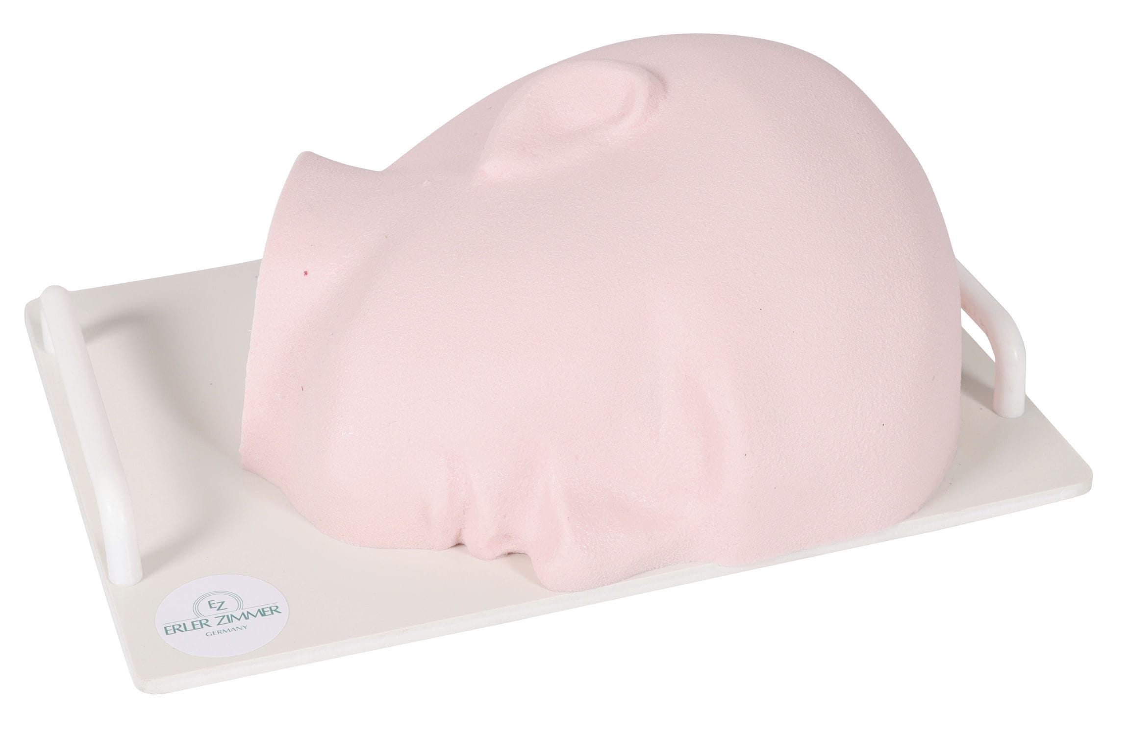 Medical imaging simulator - SEZ-FA - Erler-Zimmer - training / anatomy ...