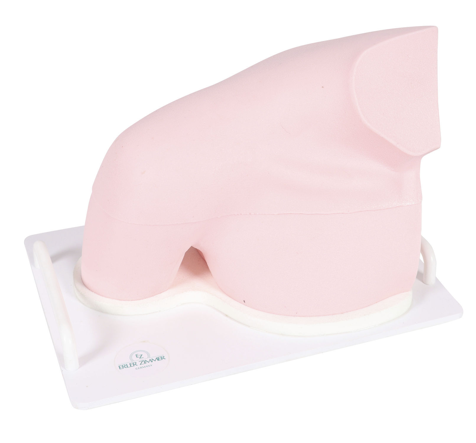 Medical imaging simulator - SEZ-SH - Erler-Zimmer - training / anatomy ...