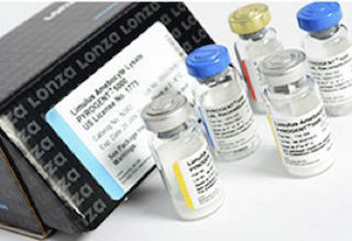 Coagulation test kit - LAL - EuroClone - for microbiology / for ...