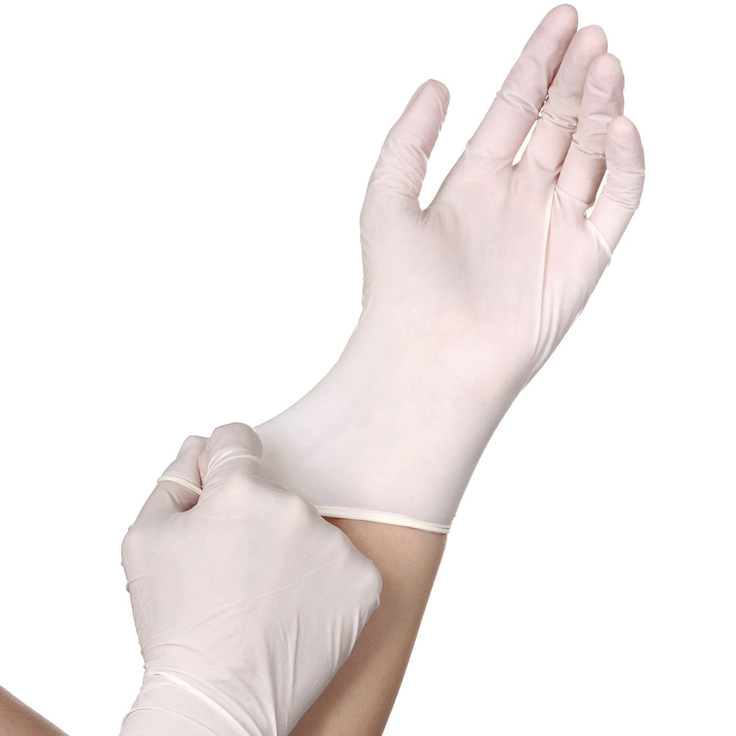 Latex gloves - FBGLVE - 1021/5 - Friedrich Bosch - examination ...