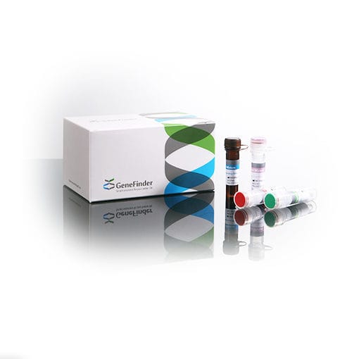 Tuberculosis test kit - GeneFinder™ - OSANG Healthcare - mycobacterium ...
