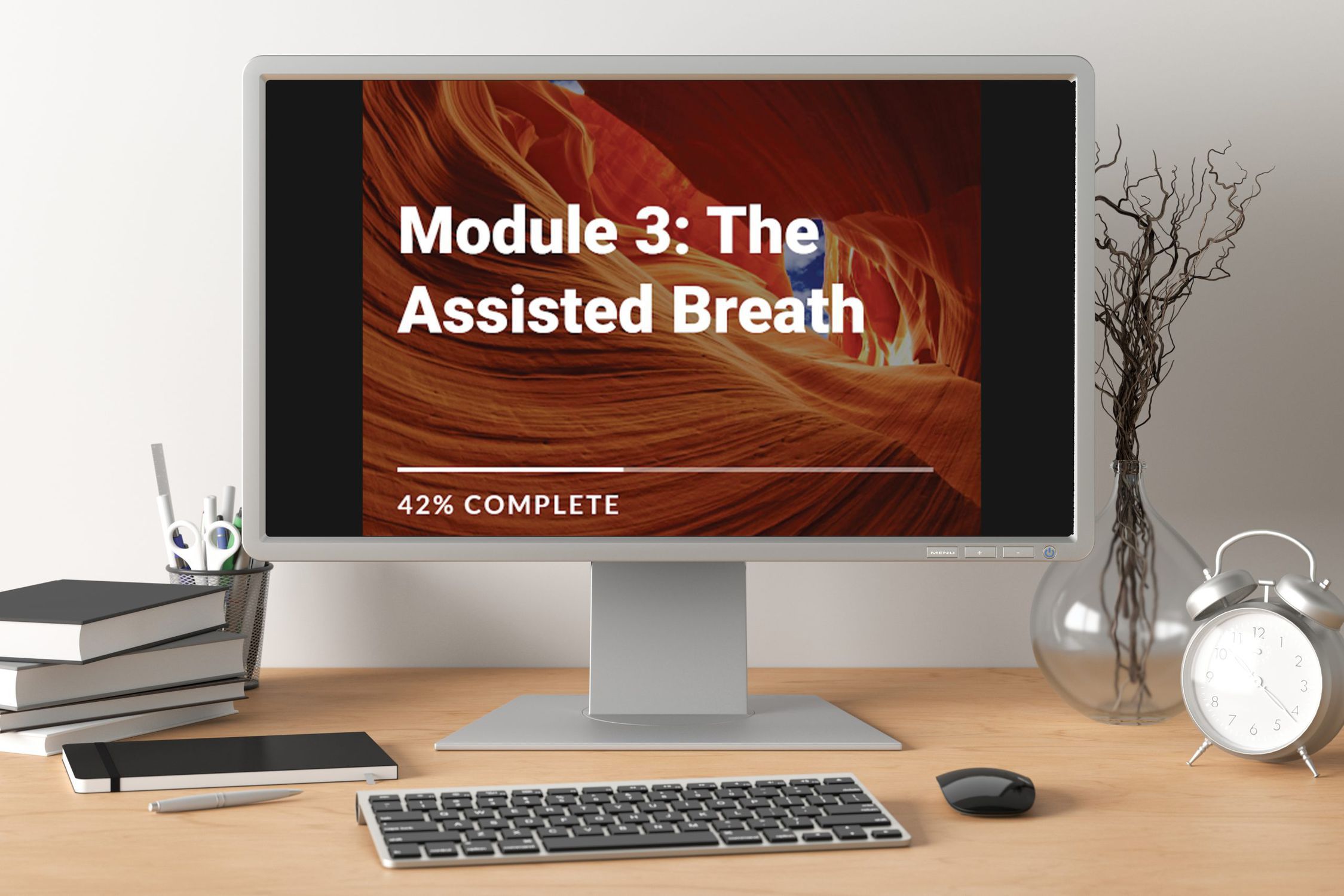 Analysis software - RespiSim eLearning - IngMar Medical - management / training / education