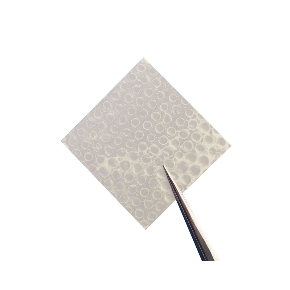 Cutaneous tissue matrix - AmnioExcel® Plus - Integra LifeSciences ...