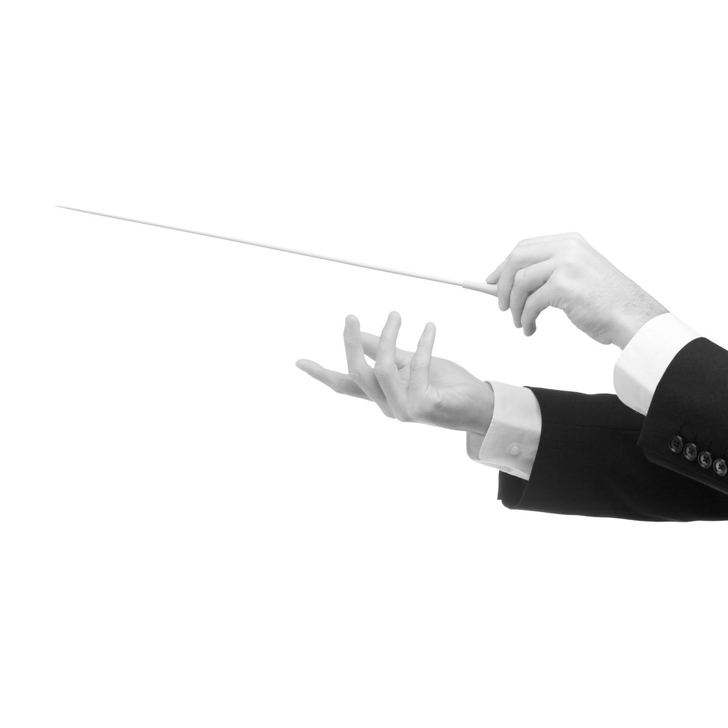 Analysis software - Maestro - Inventis - management / visualization ...