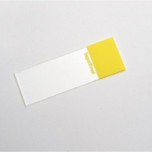 Microscope slide - 2255 - KALTEK
