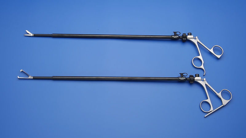 Veterinary laparoscope - KARL STORZ - rigid