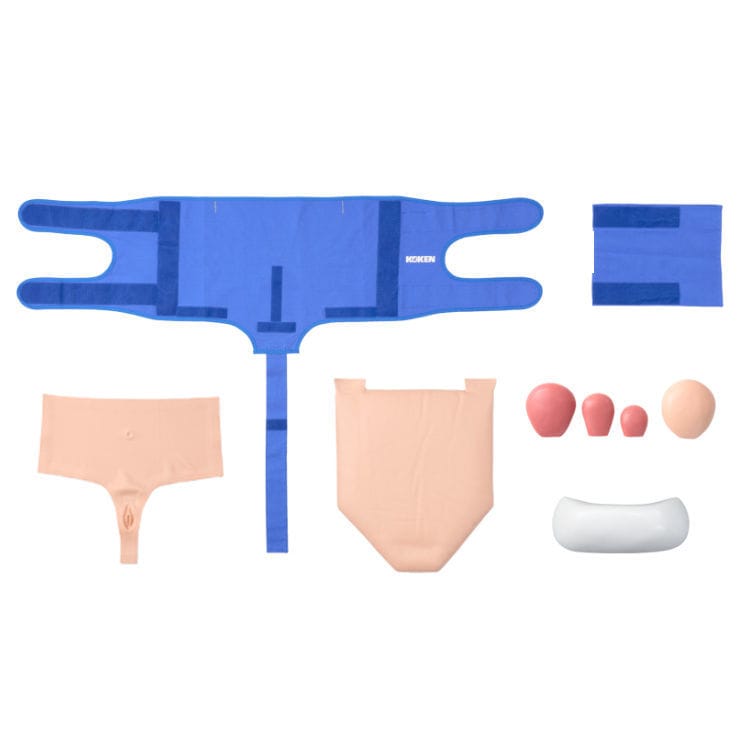 Uterine anatomical model - LM-116 - KOKEN - gynecological care ...