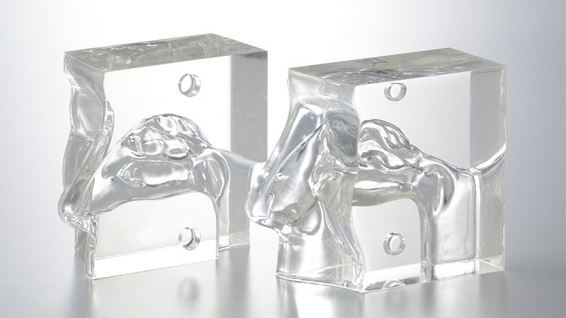 Nasal cavity model - LM-005 - KOKEN - nasal / for teaching / transparent