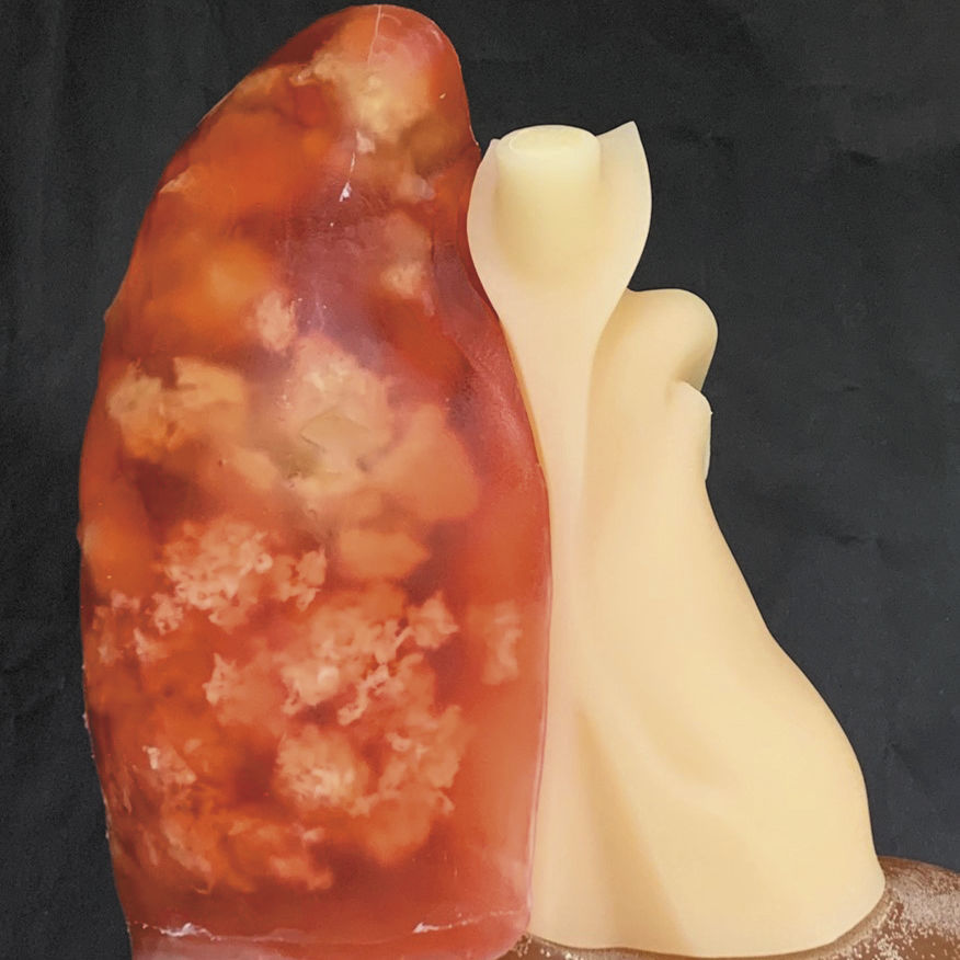 Radiography test phantom - N-1 LUNGMAN - Kyoto Kagaku - lung