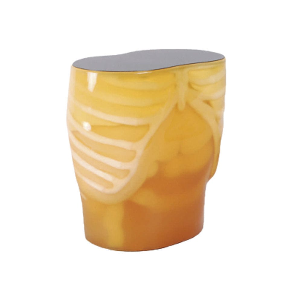 CT scan test phantom - PH-5 - Kyoto Kagaku - abdomen