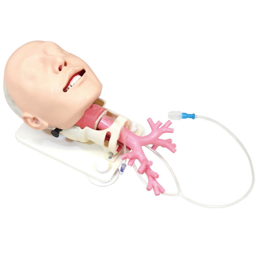Airway management simulator - MW19 - Kyoto Kagaku - training / for ...