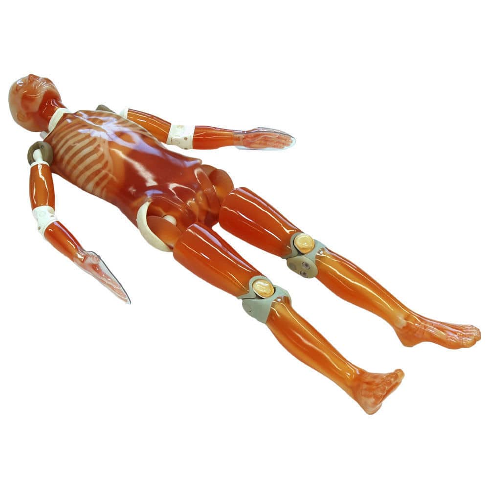 CT scan test phantom - PH-2E - Kyoto Kagaku - whole body