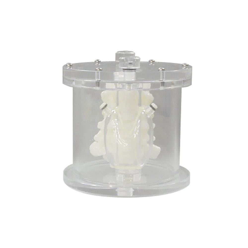 Thyroid test phantom - PH-69 - Kyoto Kagaku - for CT scan / neck