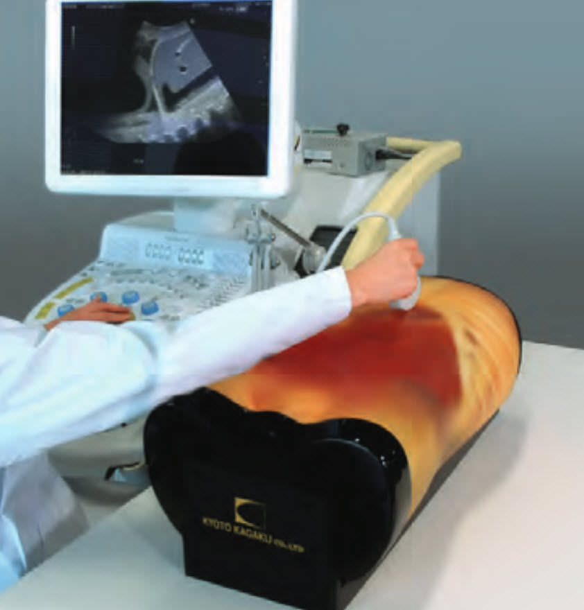Ultrasound imaging test phantom / abdomen - FAST/ER FAN US-5 - Kyoto ...
