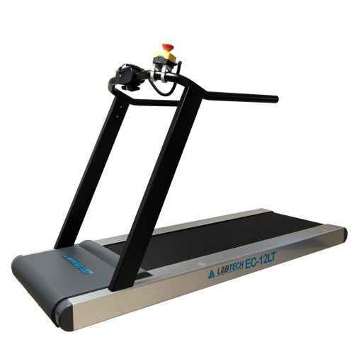 Treadmill ergometer with handrails - EC-12LT - Labtech - adult