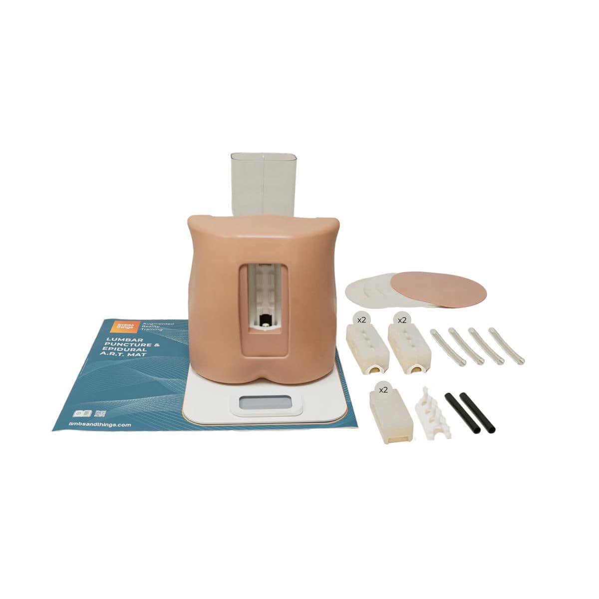 Lumbar puncture simulator - 61001 - Limbs & Things - training ...