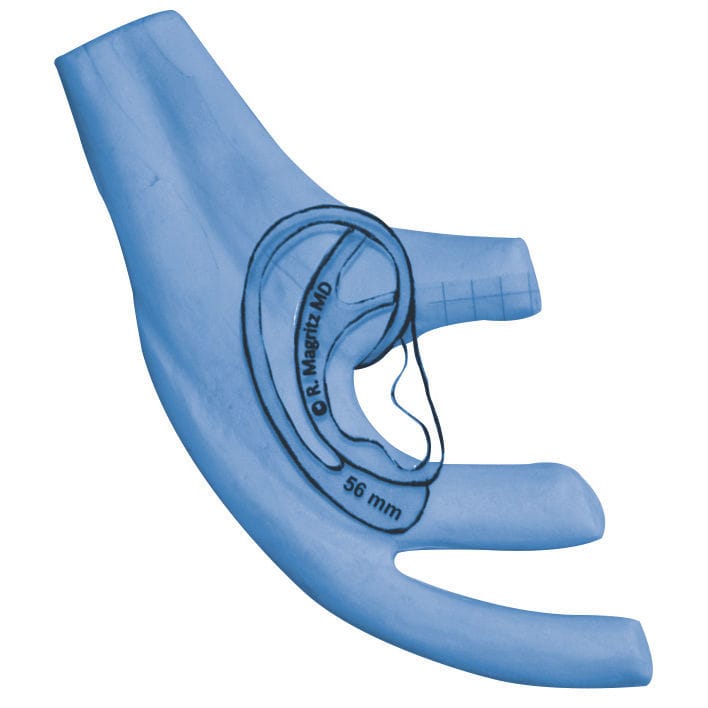 Auricular anatomical model - Medicon eG - plastic surgery / training / blue