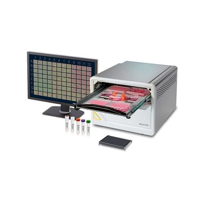 Automated cell imaging system - Incucyte® SX5 - Sartorius Group - for ...