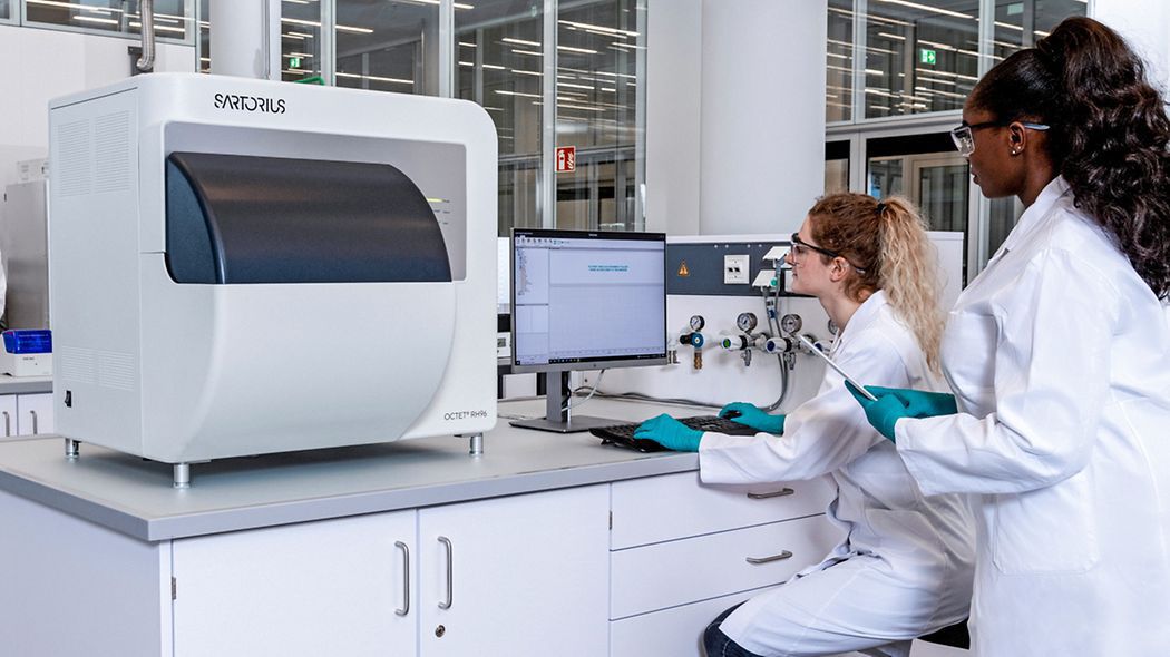 Analysis software - Octet® BLI - Sartorius Group - data analysis ...