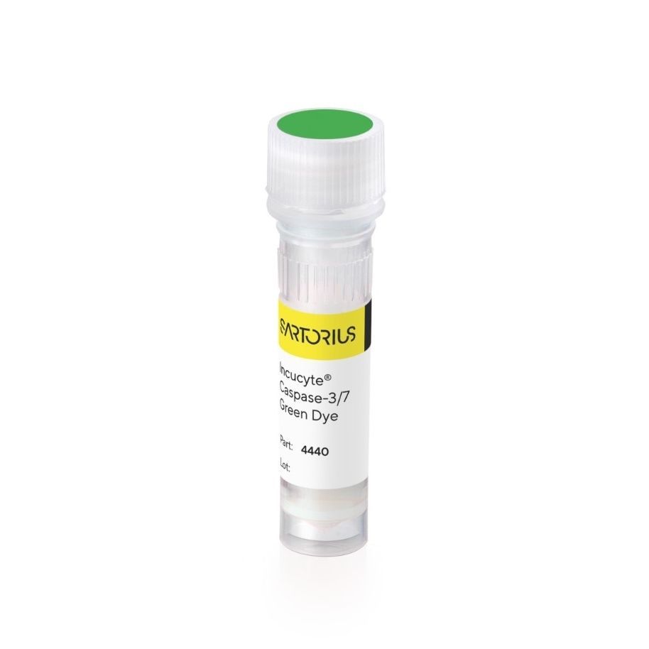 Dye reagent - Incucyte® Caspase - 3/7 - Sartorius Group - apoptosis ...