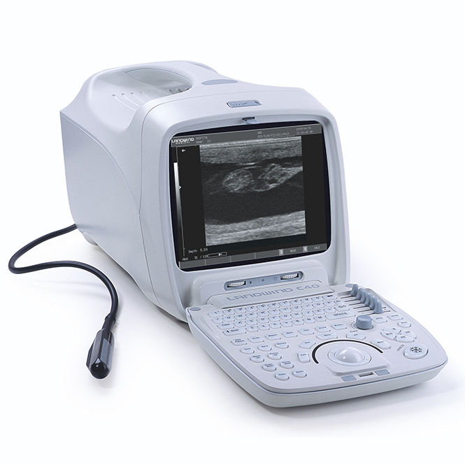 Portable veterinary ultrasound system - C40 VET - Landwind Medical ...