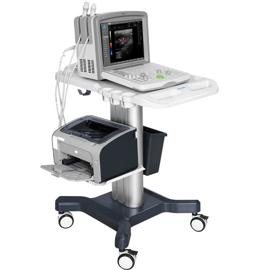 Portable, with trolley ultrasound system - FDC6000V - Shenzhen Well.D ...