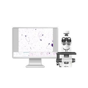 Automatic cell imaging system - 71 series - West Medica - laboratory ...