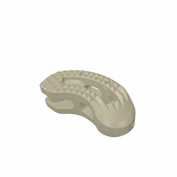 Lumbar interbody fusion cage - PLIF - Double Medical Technology ...