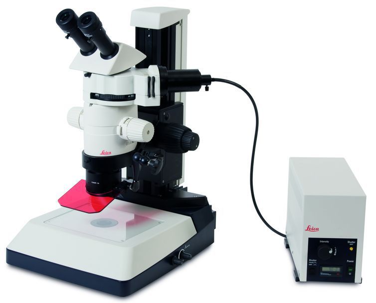 Digital microscope - MZ10 F - Leica Microsystems - laboratory / for ...