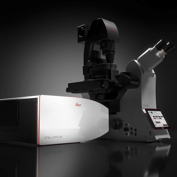 Optical microscope - STELLARIS series - Leica Microsystems - laboratory ...