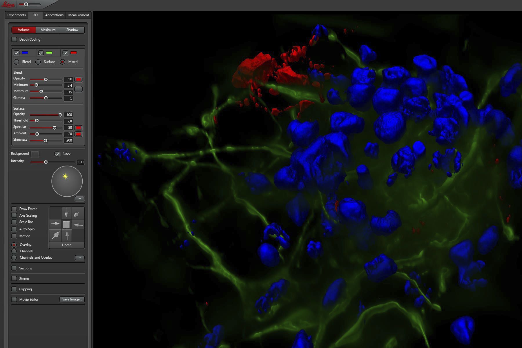 Visualization software - LAS X - Leica Microsystems - medical ...