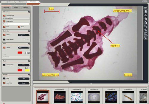 Visualization software - LAS EZ - Leica Microsystems - education ...