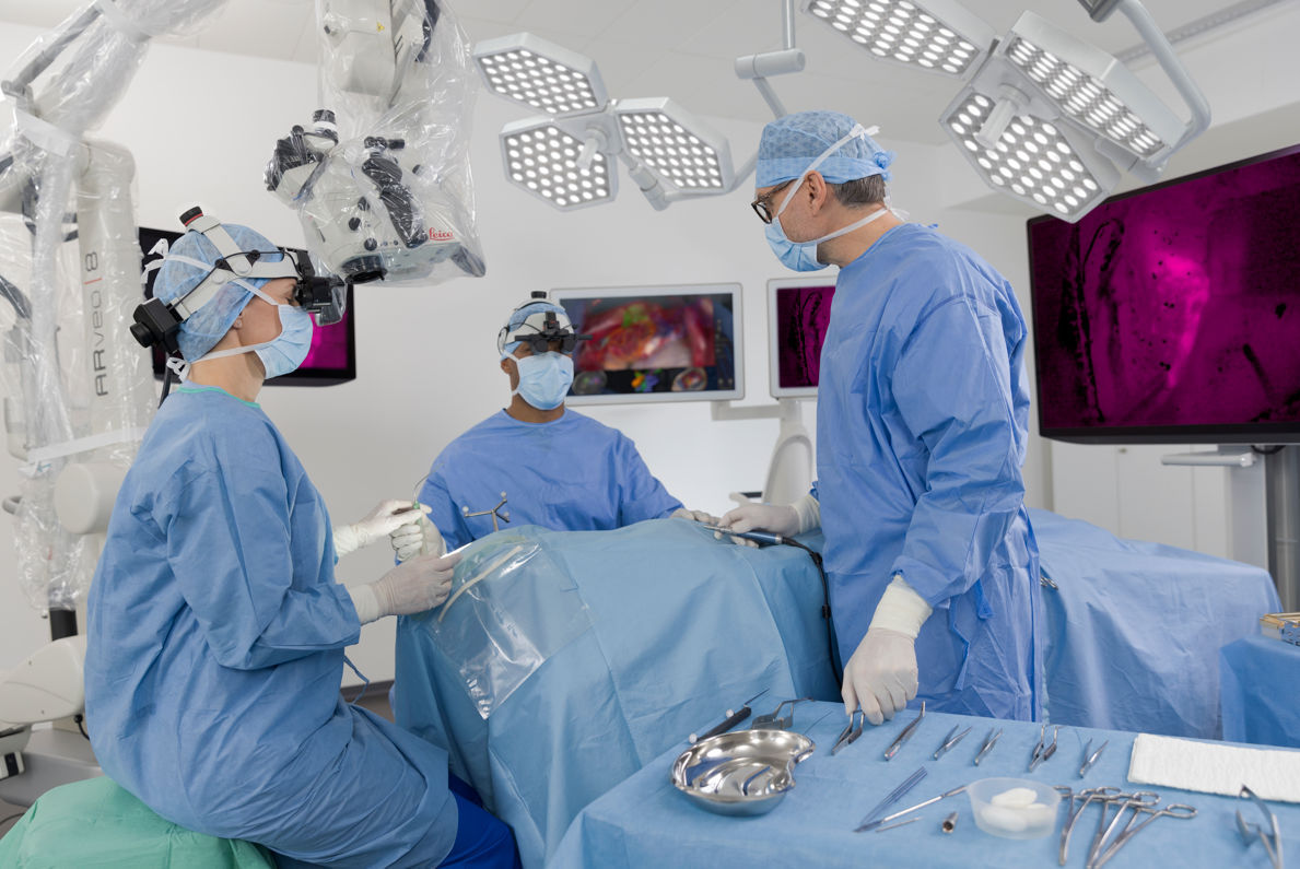 Optical microscope module - GLOW400 - Leica Microsystems - for brain ...