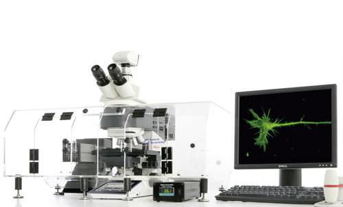Automated cell imaging system - LAS X Widefield - Leica Microsystems ...