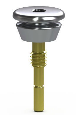 External healing abutment - 212-303 - BioHorizons - titanium / flared ...