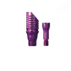 Titanium implant abutment - copaSKY Base - bredent medical - internal / straight / screw