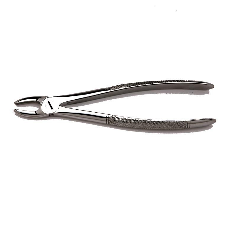 Canine teeth dental extraction forceps - N°1 - DENTAL MARKET s.r.l ...