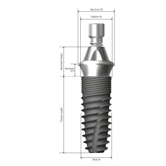 Tapered dental implant - NR Line - Dentium - titanium / internal ...