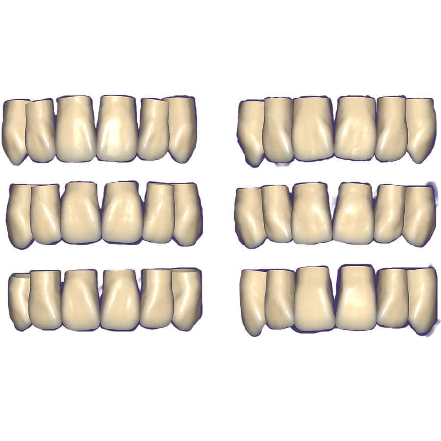 CAD software module - Tooth Library - exocad GmbH - dental / teeth / jaw