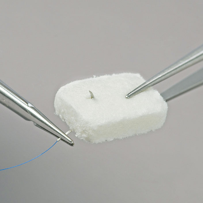 Buccal tissue matrix - Fibro-Gide® - Geistlich Pharma - xenograft ...