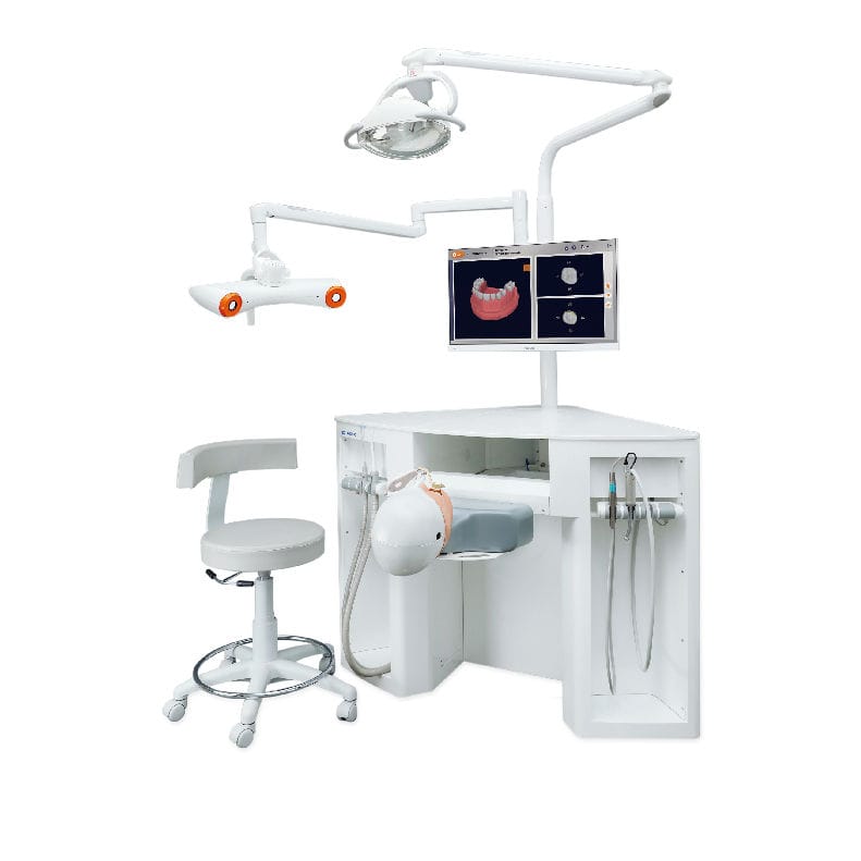 Training simulator - SimEx - EPED - evaluation / dental care / head