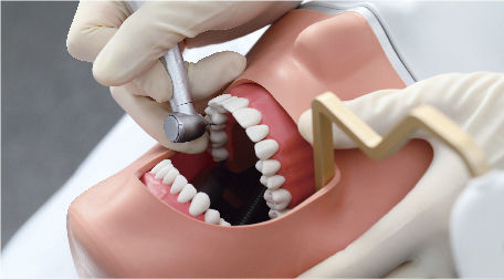 Training patient simulator - SimEx - EPED - dental / head / computerized