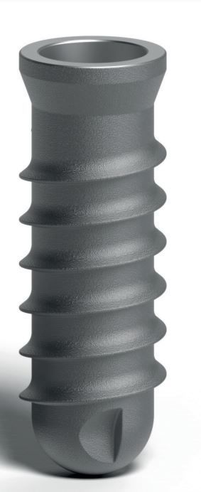 Cylindrical dental implant - 110 series - LEONE S.p.a. - titanium