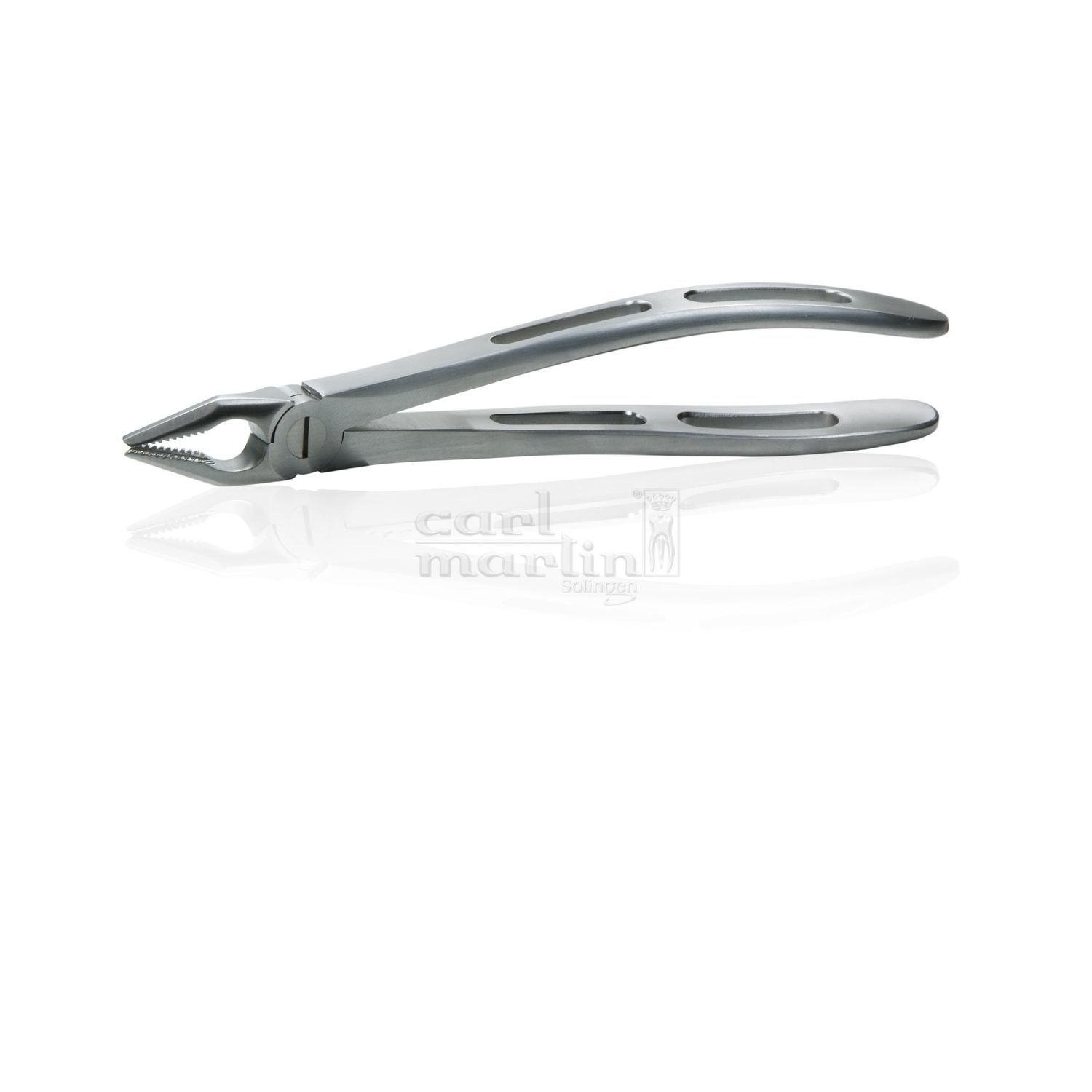 Canine teeth dental extraction forceps - GX1 - Carl Martin GmbH - for ...