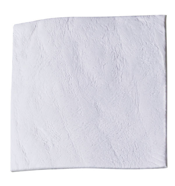 Orthopedic tissue matrix - Evolution - Tecnoss Dental - collagen ...