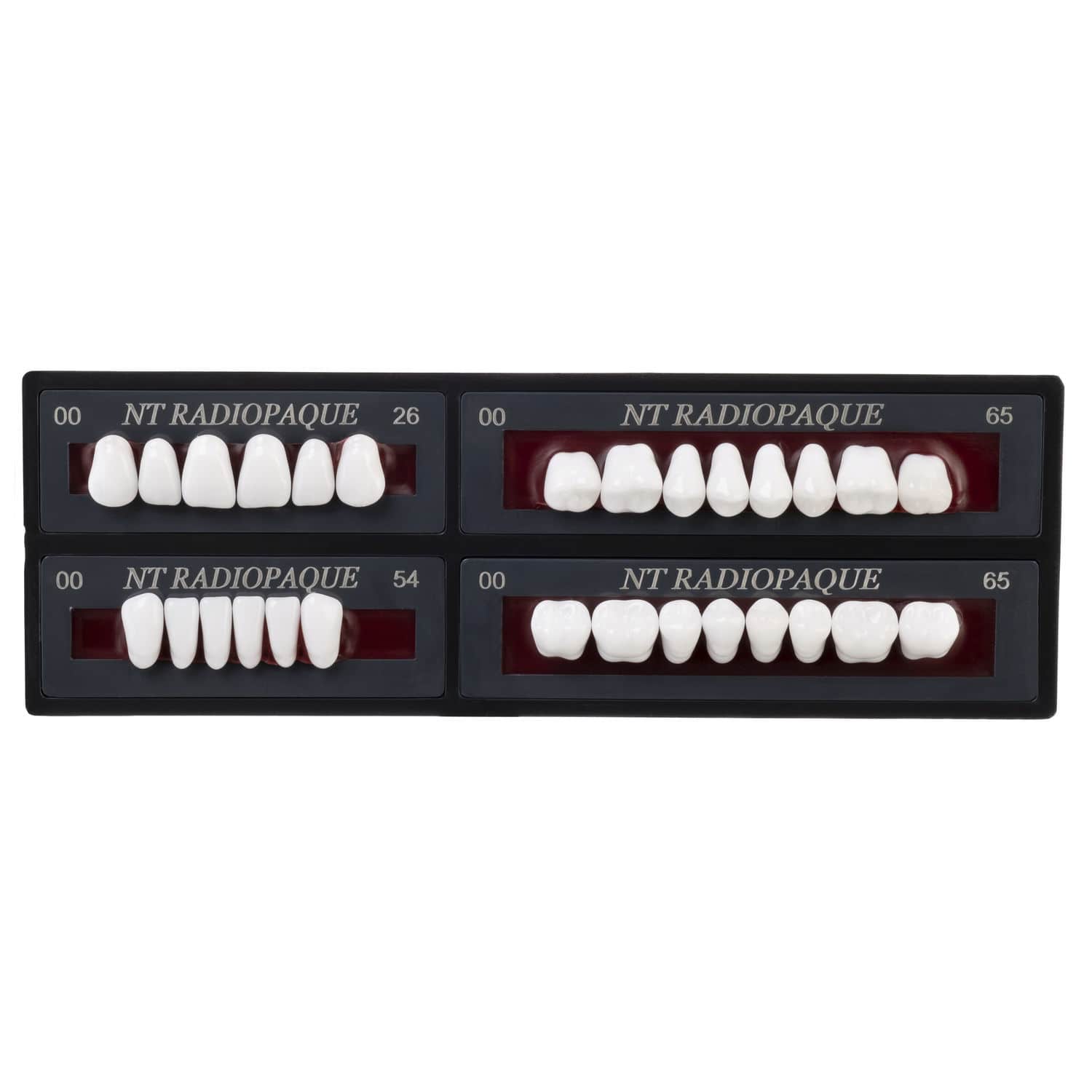 Dental prosthesis - Nt Radiopaque - TOROS DENTAL