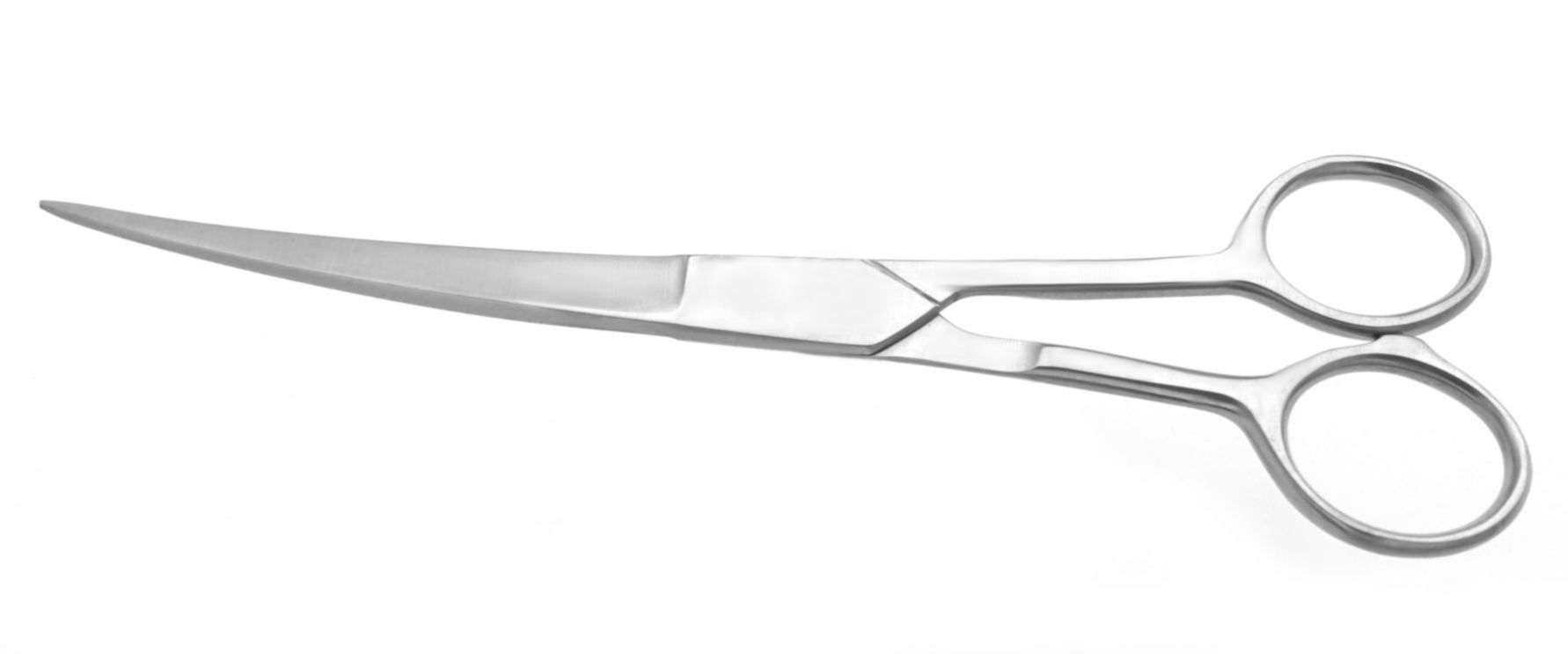 Surgery scissors - 21255 - Wittex - for humans / curved