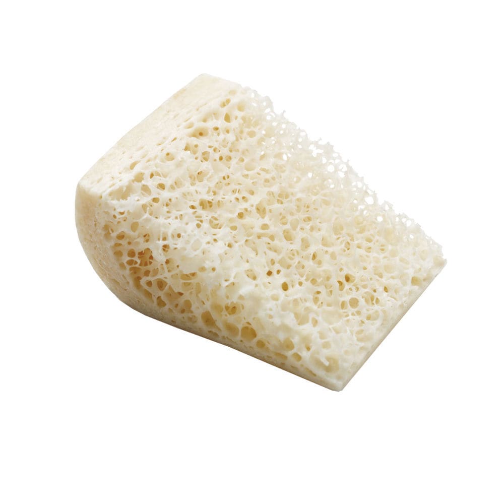 Allograft bone substitute - Puros® - Zimmer Dental - for dental sugery ...