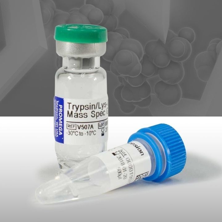 Enzyme reagent - V507 series - Promega France - for research / for mass ...